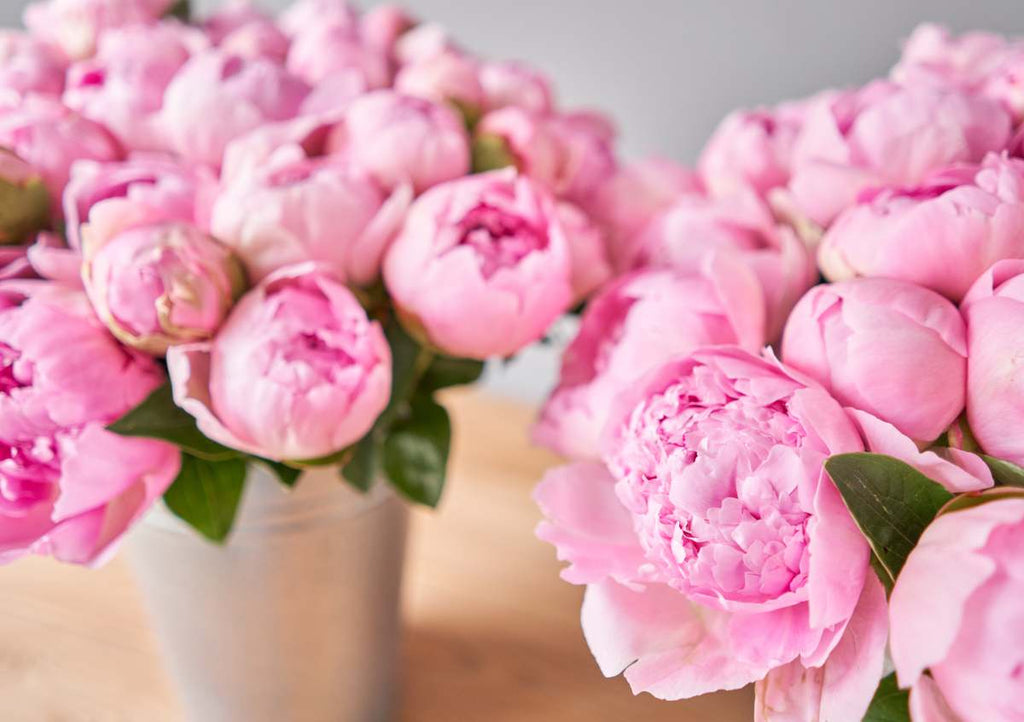 Dinner & Blooms Care Package: Now with PEONIES!! 🌸 – Angel Delivery